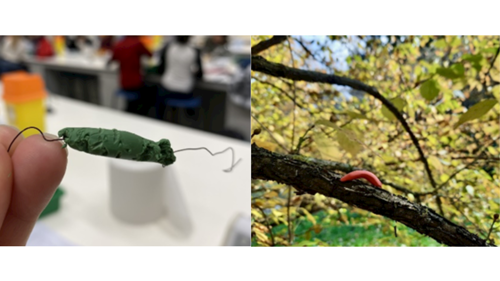 Royal Holloway's Living Campus